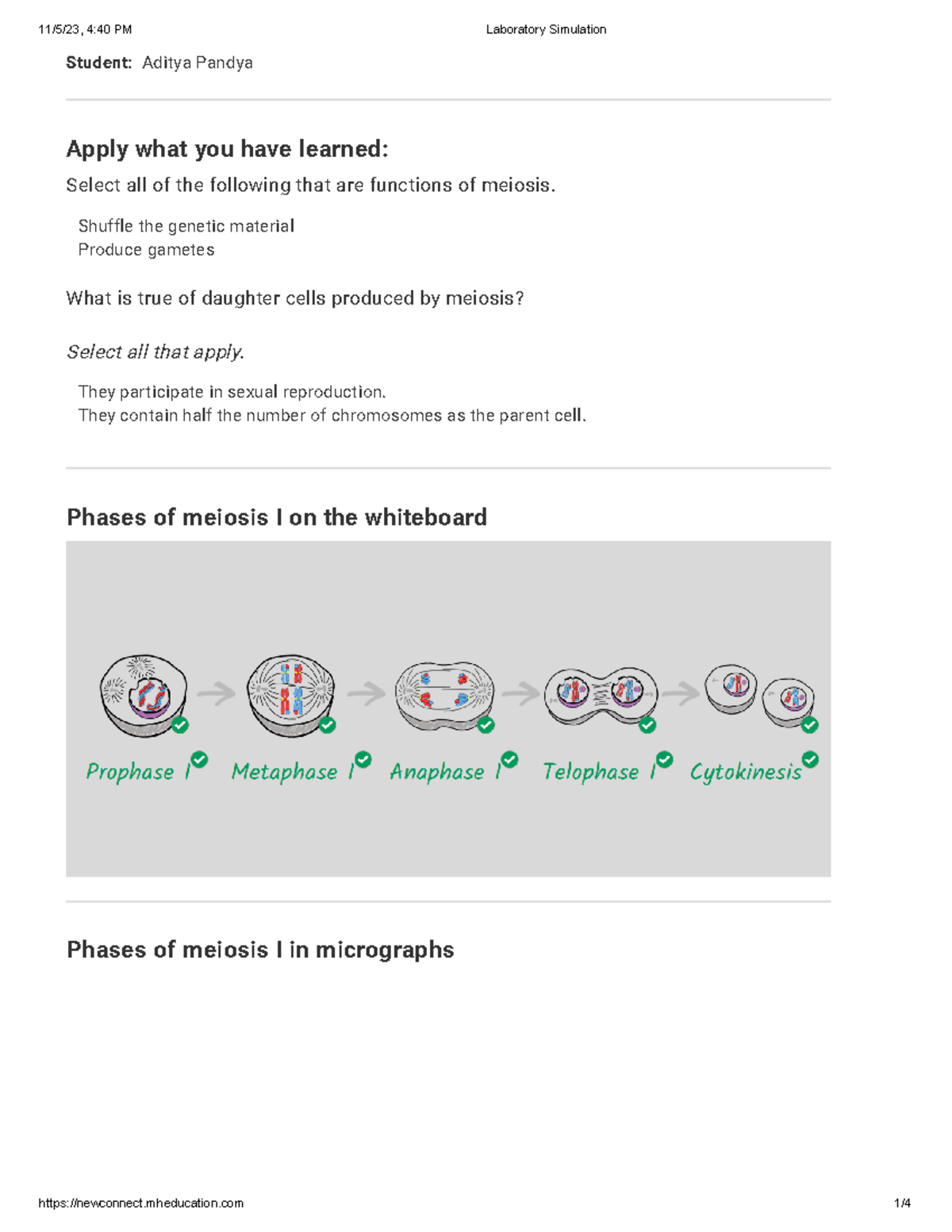 Cell Division - Examining Meiosis Lab - Student: Aditya Pandya Apply ...