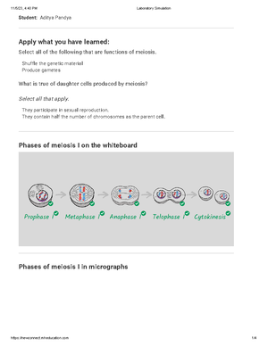 Project 3 Lab Report - Foundations of Biology - Foundations of Biology ...