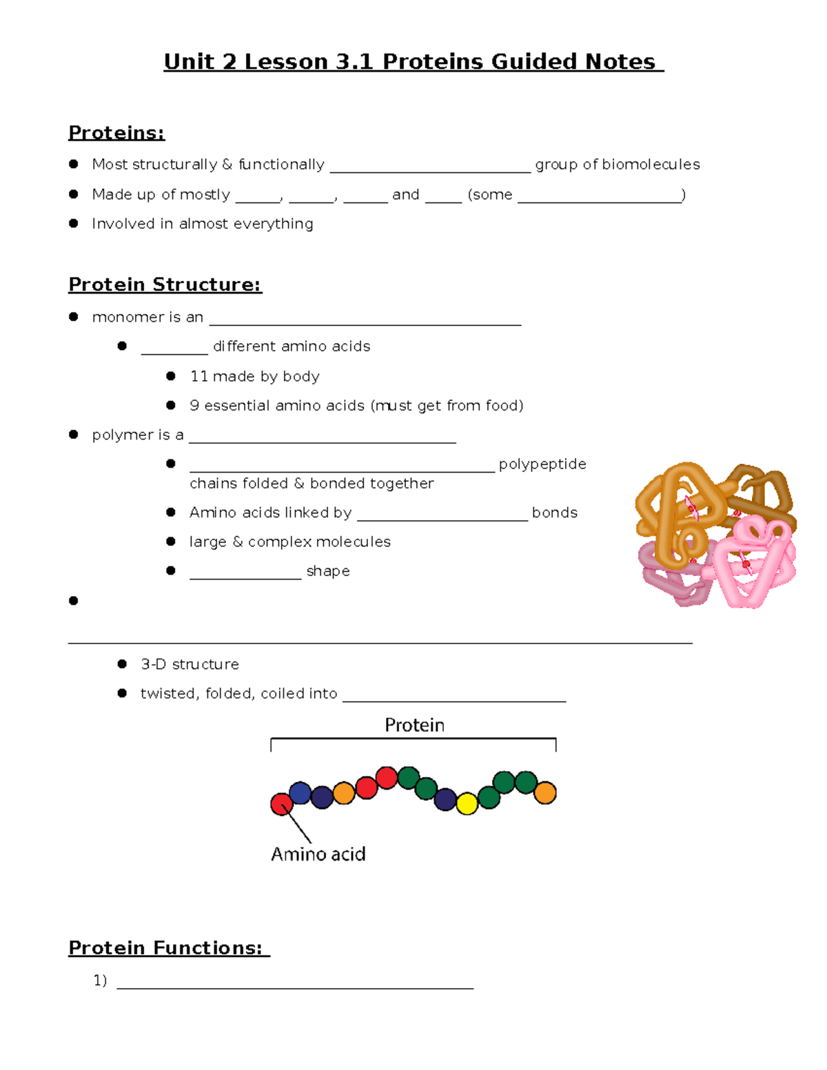 3.1 Guided Notes proteins - Unit 2 Lesson 3 Proteins Guided Notes ...