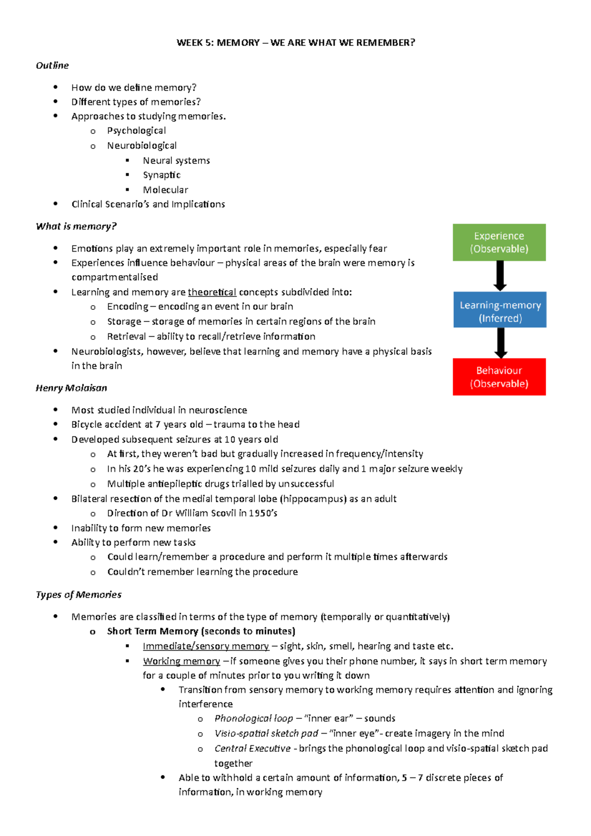 Neuroscience - WEEK 5 Examination Notes - WEEK 5: MEMORY – WE ARE WHAT ...