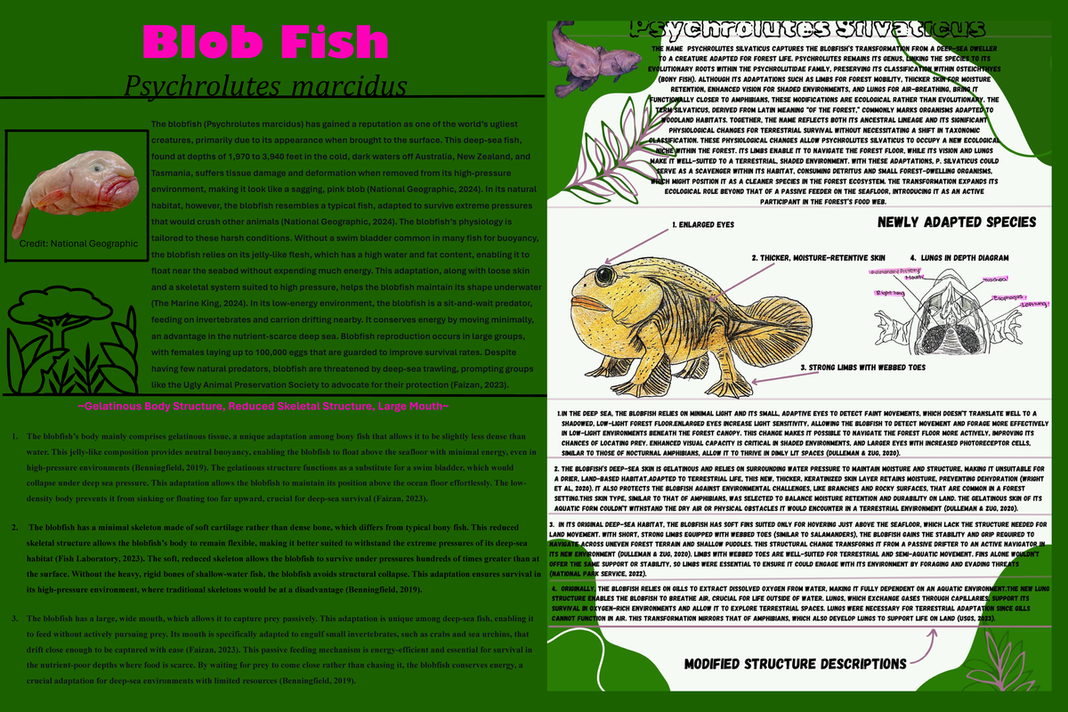 Lab Midterm Project Template - Blob Fish Psychrolutes marcidus The ...