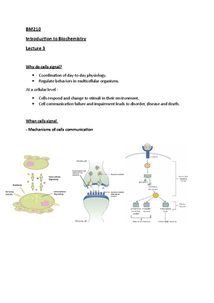 BM210 Lecture 14 - BM210 - Strath - Studocu