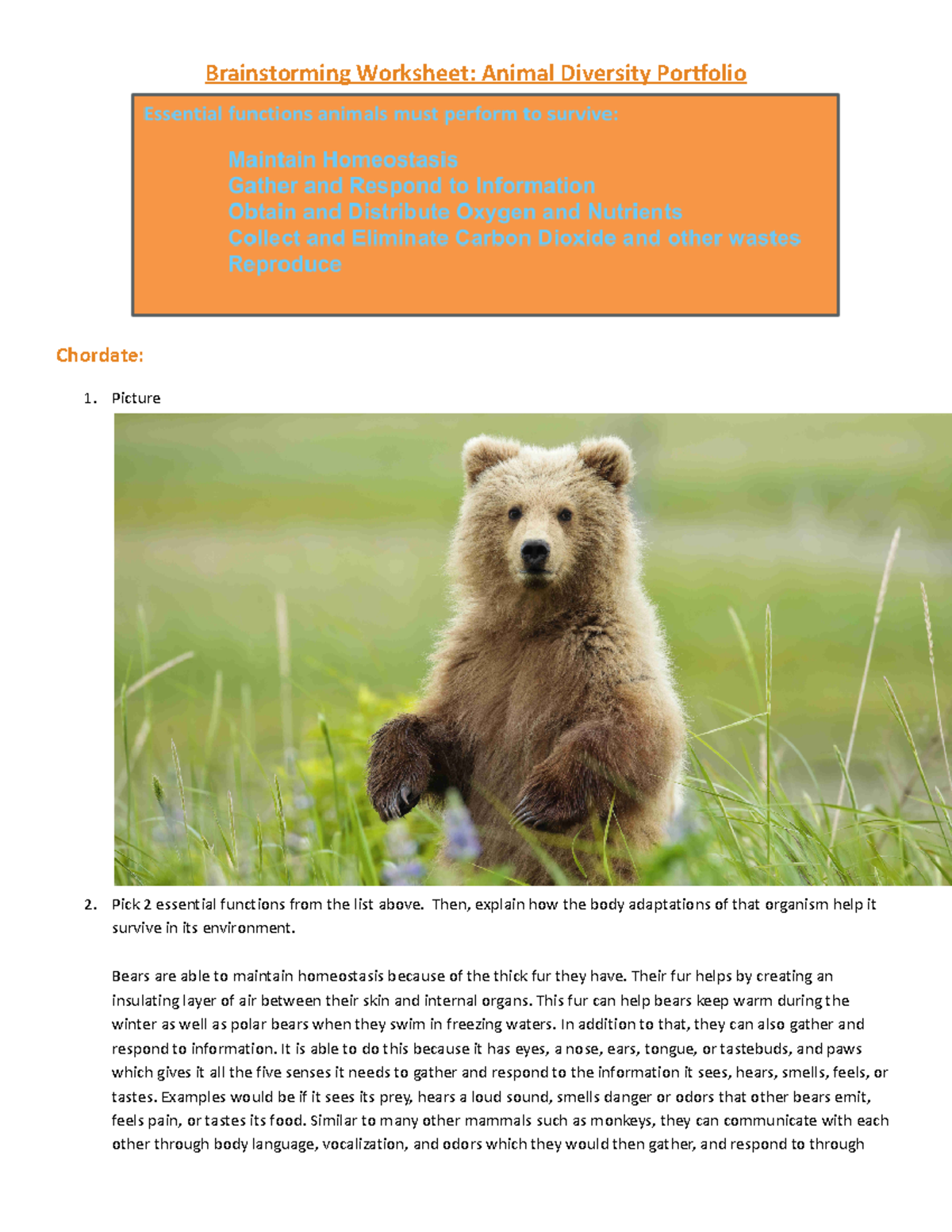 Animal diversity portfolio brainstorming wksht- 1 - Brainstorming ...
