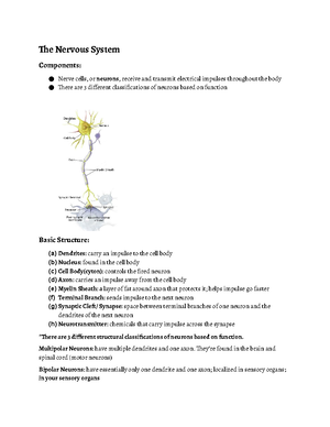 Chapter 3 Cells and Tissues - Chapter 3: Cells and Tissues Cell Types ...