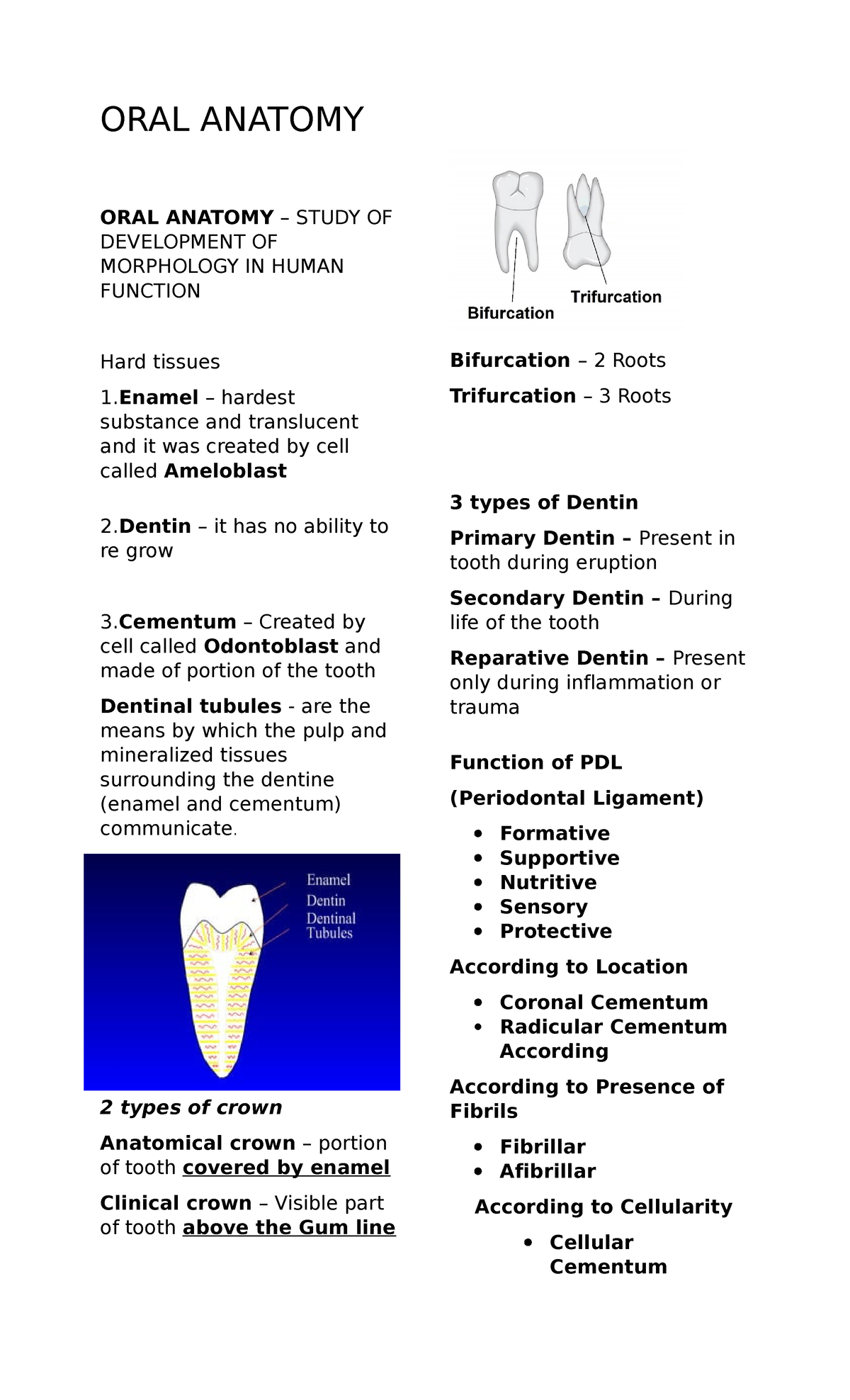 ORAL Anatomy part 1 - ORAL ANATOMY ORAL ANATOMY – STUDY OF DEVELOPMENT ...