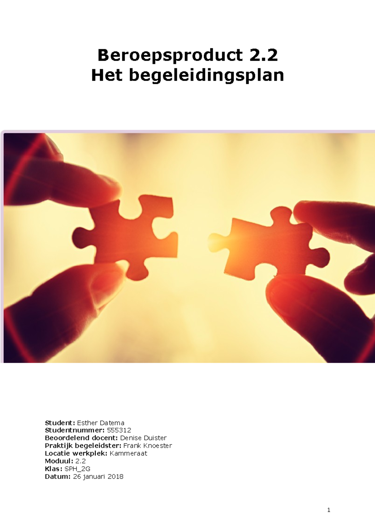 Begeleidingsplan - Beroepsproduct 2. Het begeleidingsplan Student ...