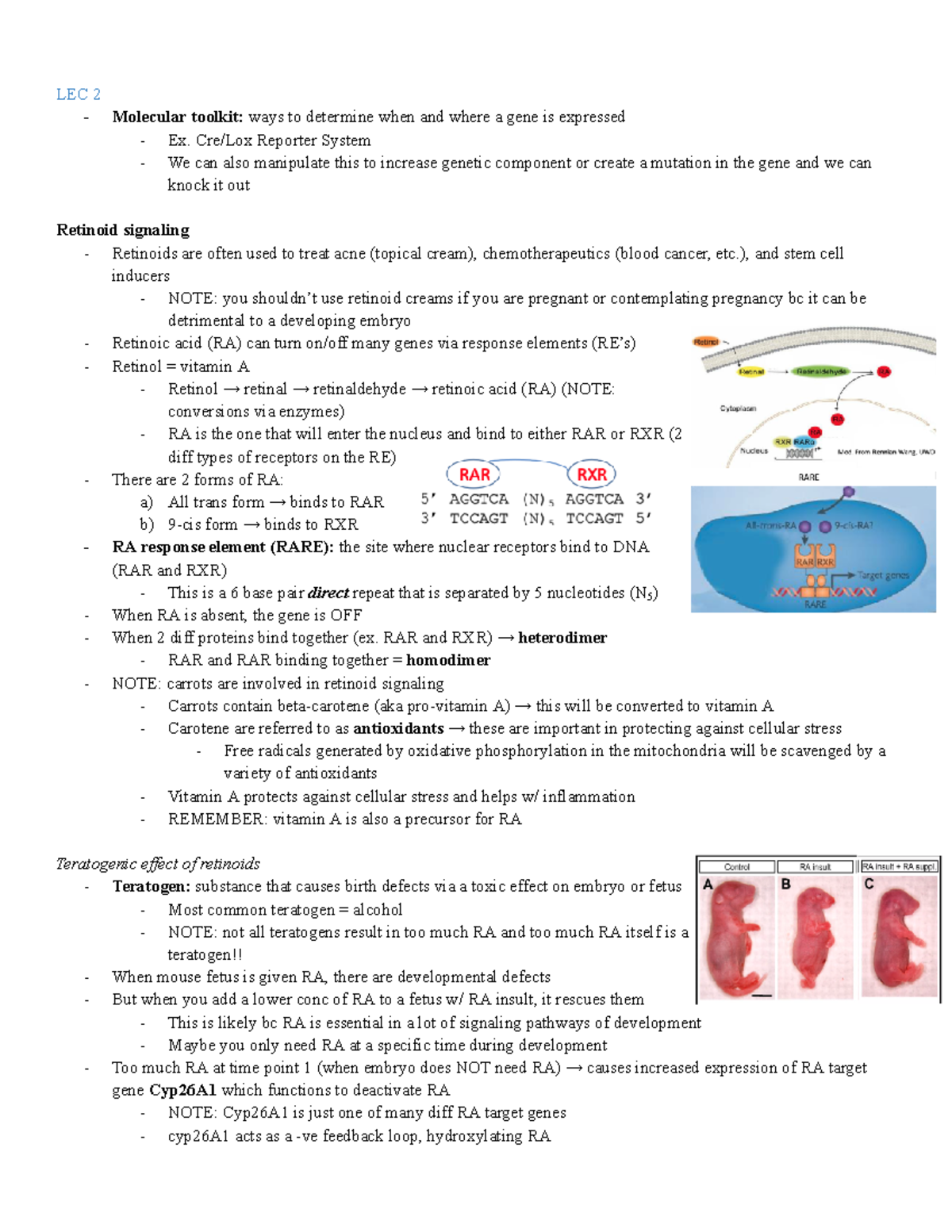 LEC 2 - lec 2 summary notes - LEC 2 Molecular toolkit: ways to ...