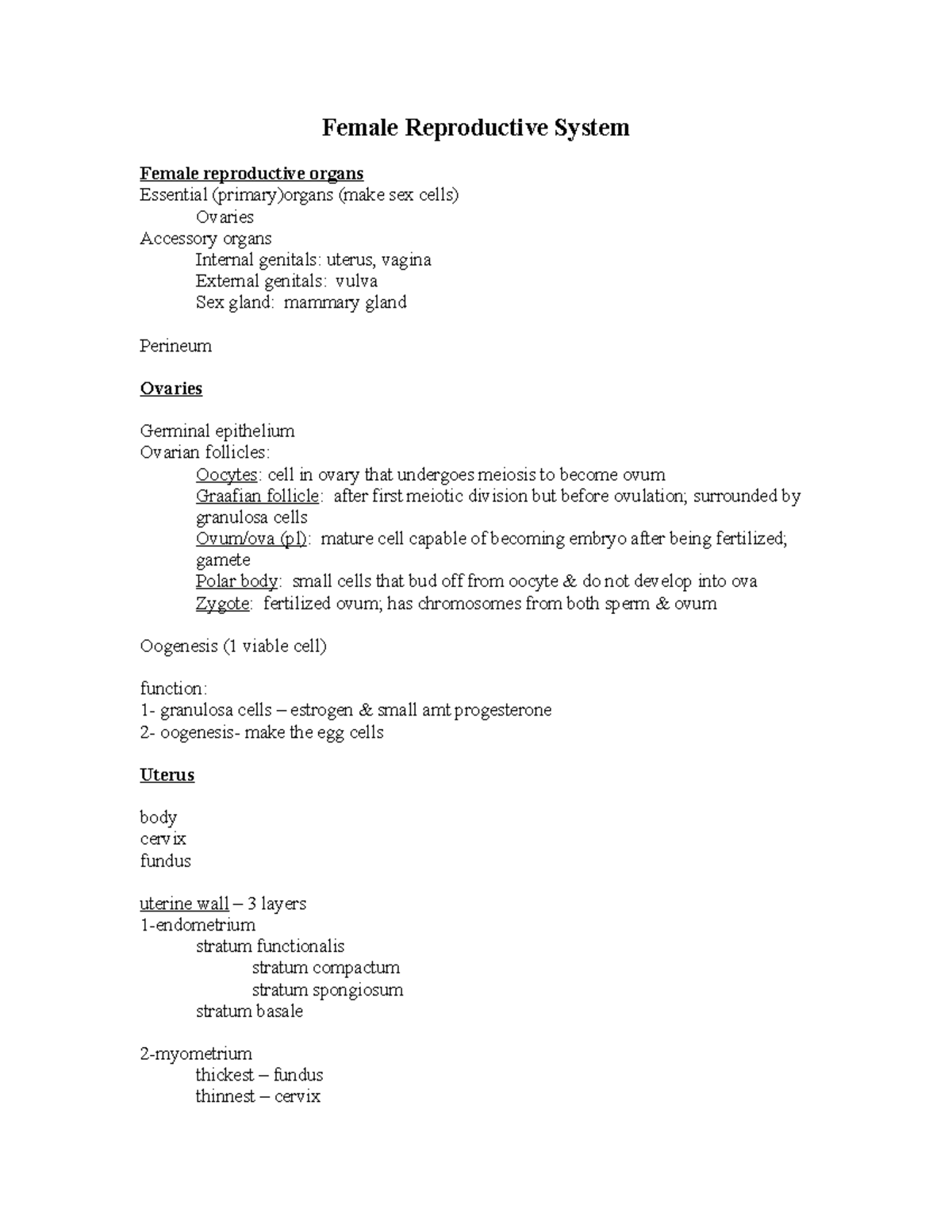Female Reproductive System - Female Reproductive System Female ...