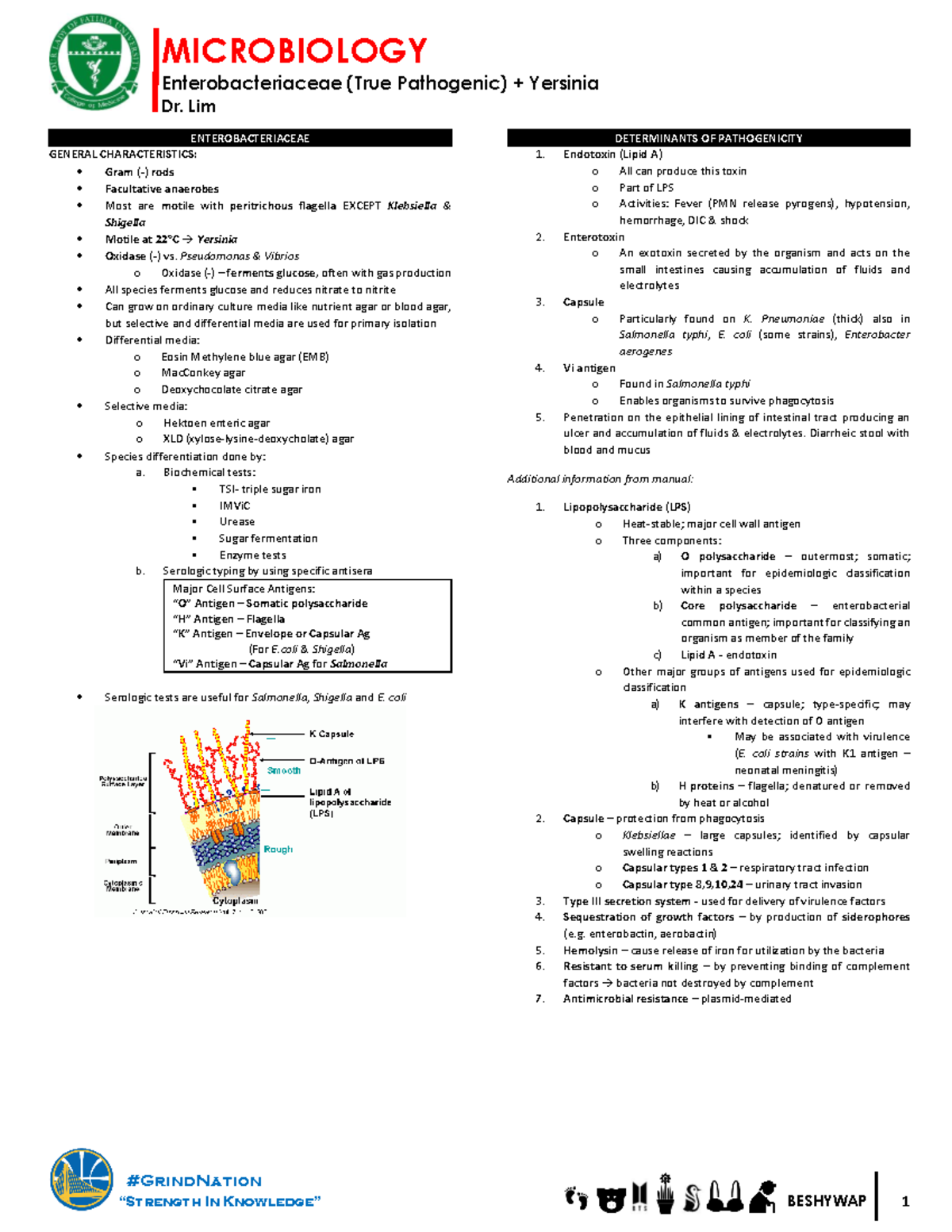 Microbiology 22 - Bacte trans - Enterobacteriaceae (True Pathogenic) + Yersinia Dr. Lim # ...