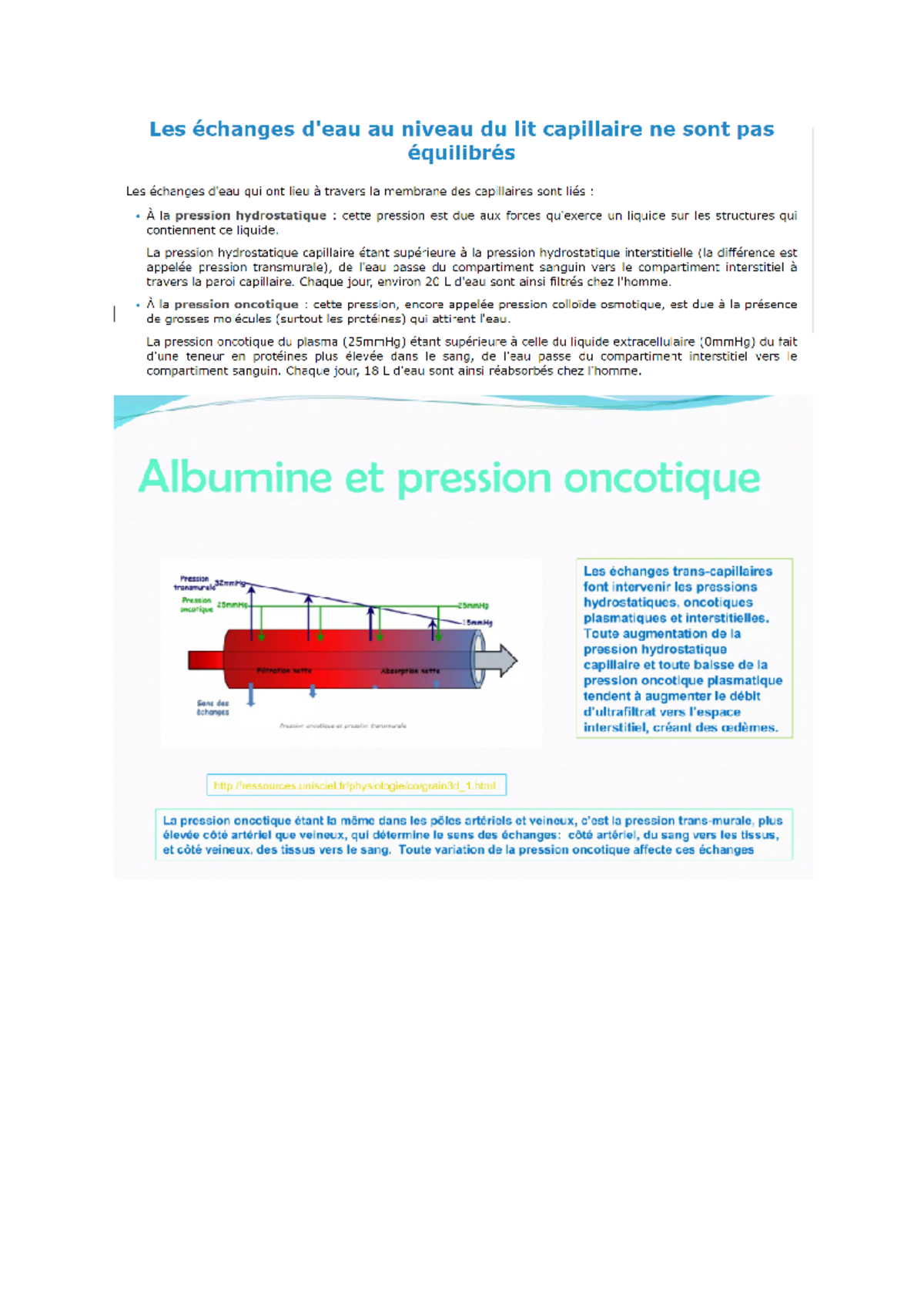 Pression ds cap - notes - Les échanges au niveau du lit capillaire ne ...