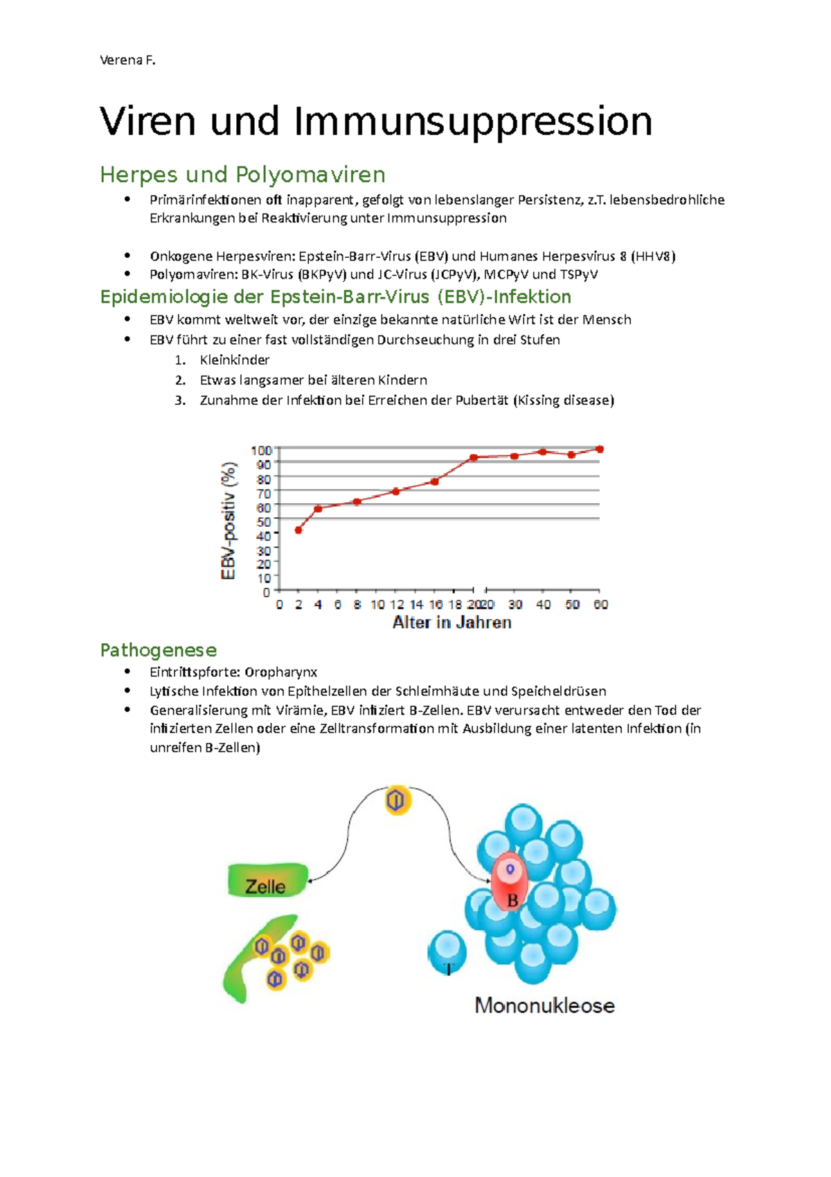 Virologie Viren und Immunsuppression - Viren und Immunsuppression ...