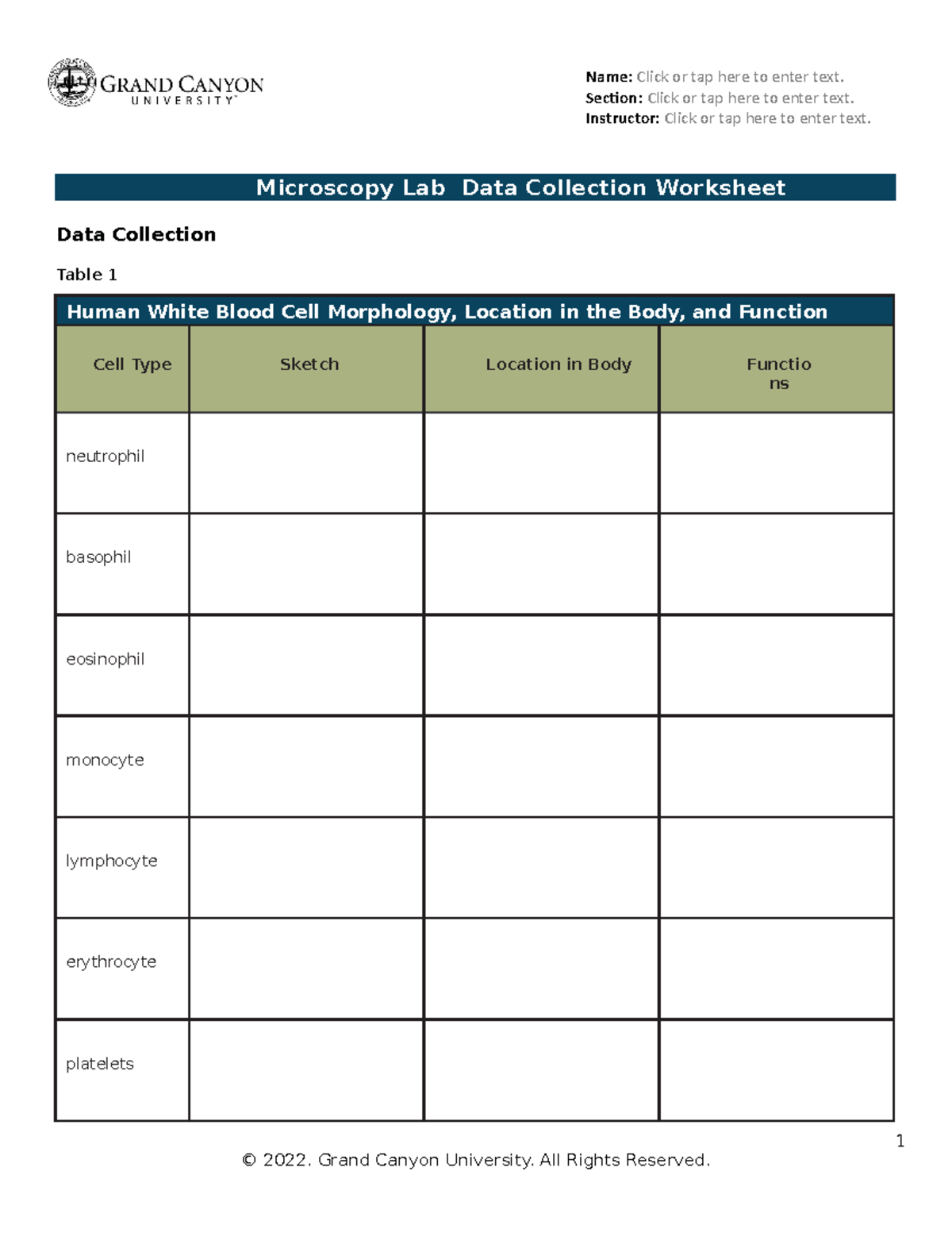 BIO-205L-RS-T1.Lab2Microscopy WS- Onground- Acconground - Section ...