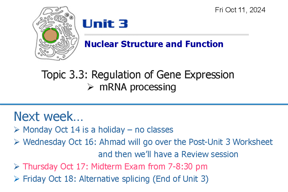 16-2024 Lecture 16 Unit 3 m RNA Processing post-lecture - Nuclear Structure and Function Fri Oct ...