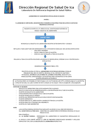 Carta DE Renuncia - CARTA DE RENUNCIA SEÑORES: RENADSA REPRESENTACIONES ...