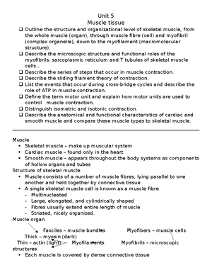 14 Respiratory I - Notes - 12/15/ 1 Chapter 22 NS The Respiratory ...