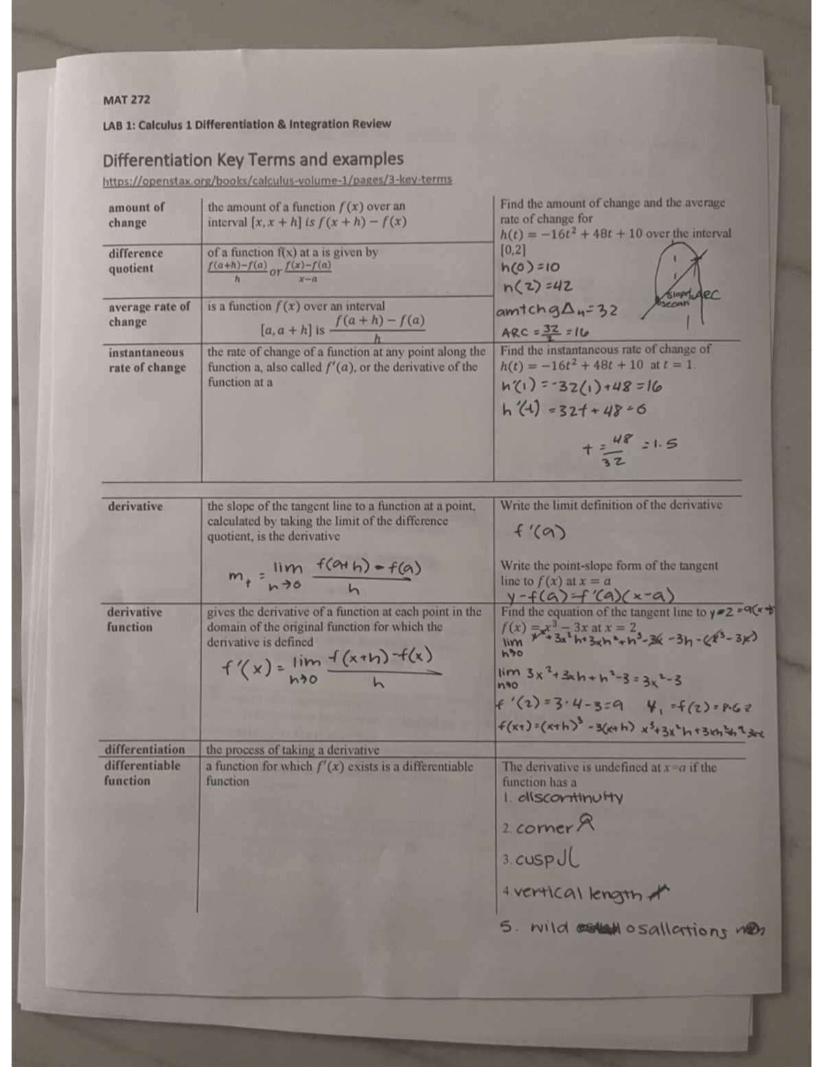 Calc Lab 1 Pt 1 - ewq ewq - Studocu