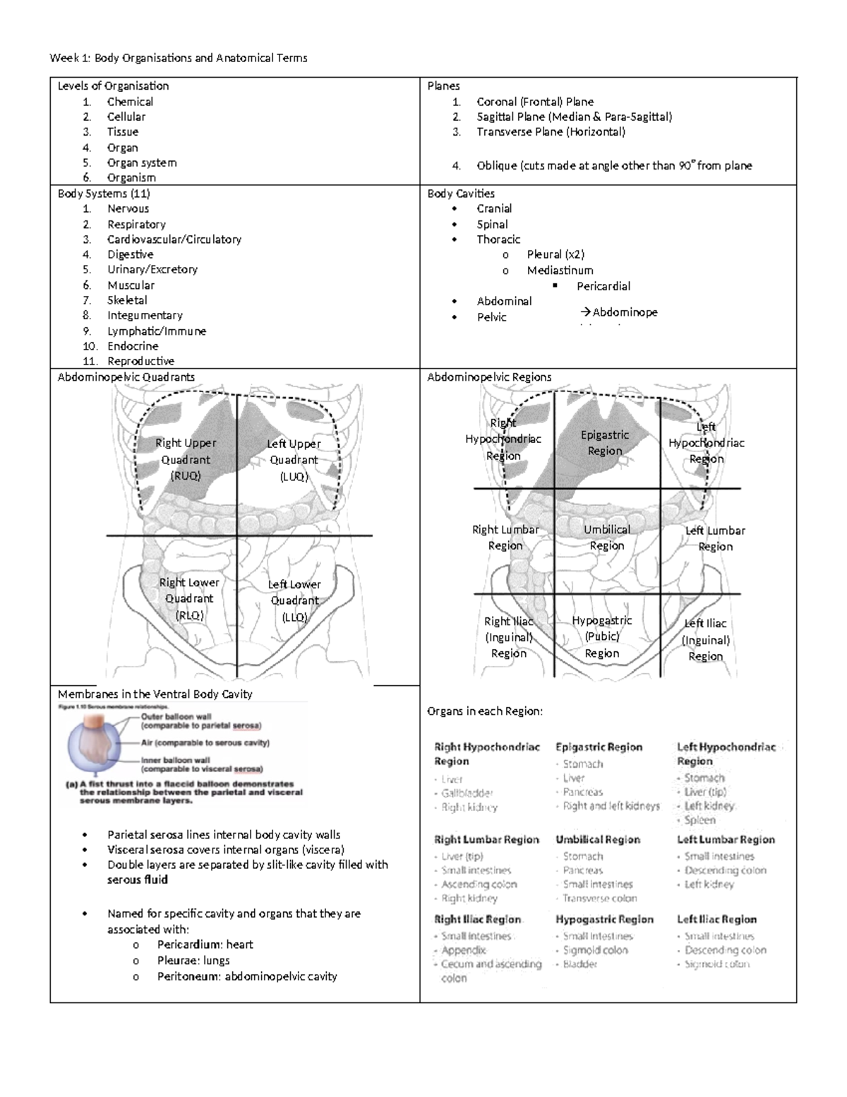 First 4 weeks Content Notes - Week 1: Body Organisations and Anatomical ...