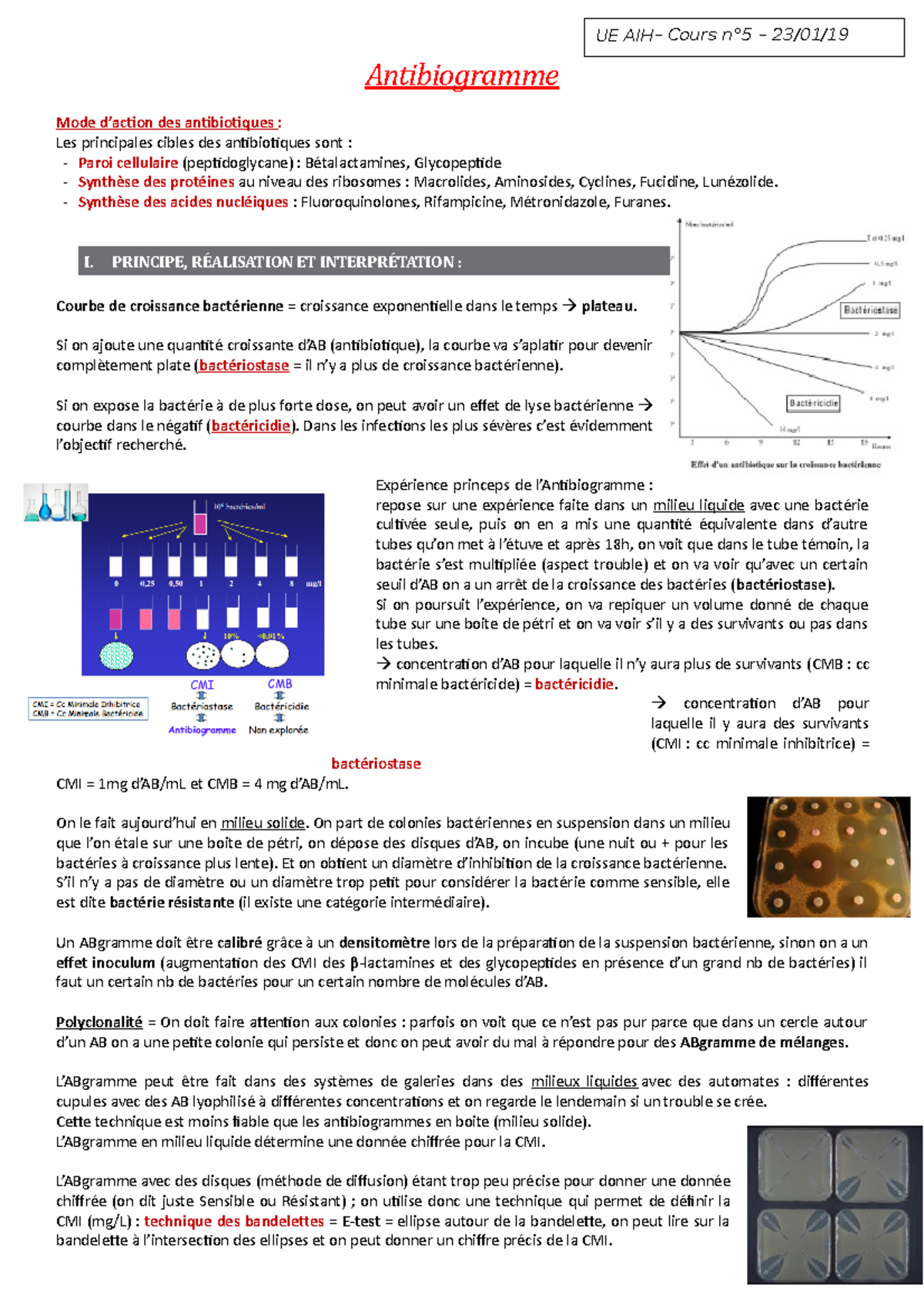 C2 - Antibiogramme - Antibiogramme Mode d’action des antibiotiques ...
