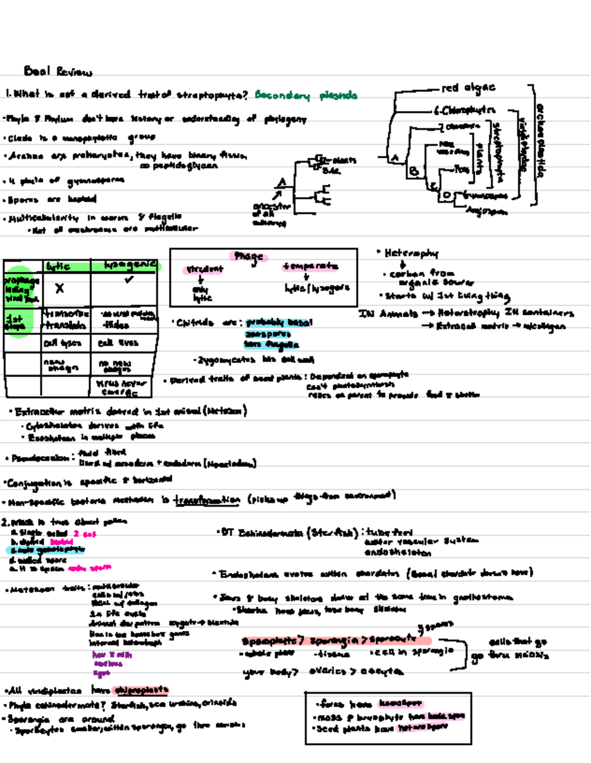 Exam 1 Review 2024 - Beal Review What is not a derived trait of ...