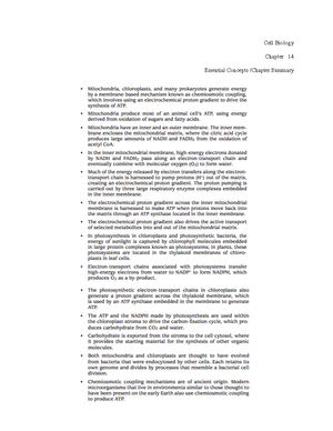CB- Chapter 13 Summary - Cell Biology Chapter 13 Essential Concepts ...