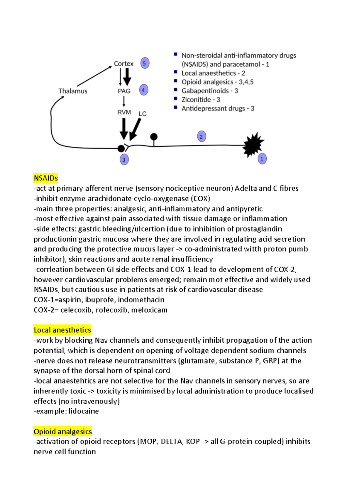 Pain Pathway - NSAIDs -act at primary afferent nerve (sensory ...