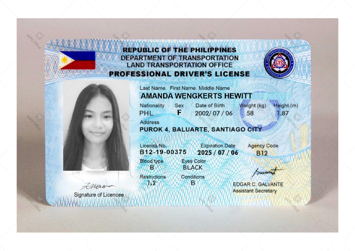 Id - ID TEMPLATE EDIT - REPUBLIC OF THE PHILIPPINES DEPARTMENT OF TRANSPORTATION OFFICE LTO LAND ...