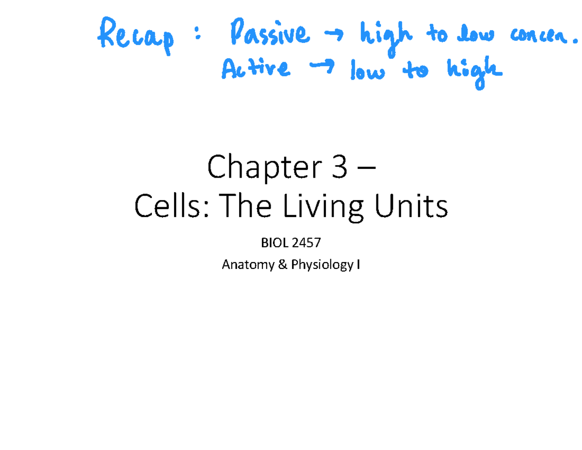 BIOL CH - Dr. Ahles - Chapter 3 – Cells: The Living Units BIOL 2457 ...