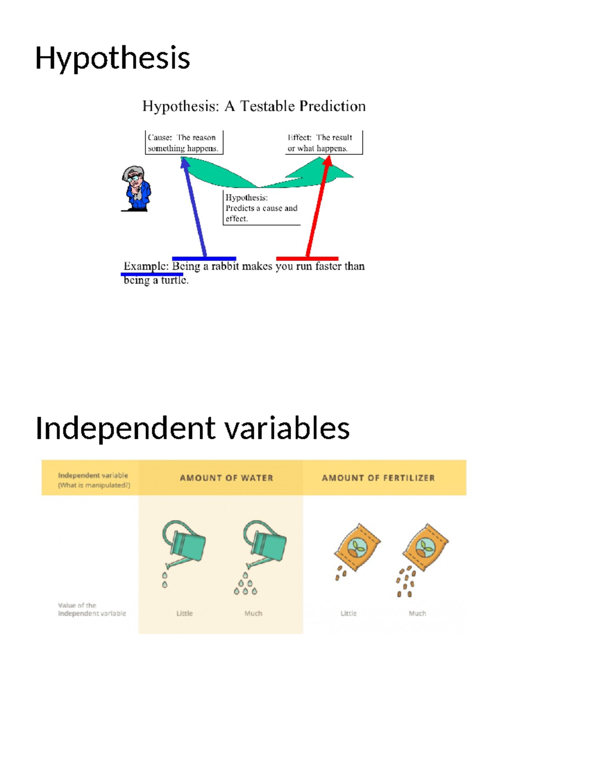 Hypothesis word wall - n/a - Hypothesis Independent variables Dependent ...