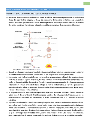 Fisiologia Guyton & Hall 12 ed- Sistema Reprodutor Masculino - Warning: TT: undefined function ...