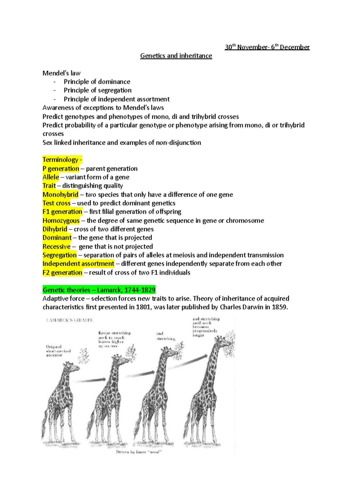 Genetics&inheritance - 30th Nov-6th Dec - 30 th November- 6 th December ...