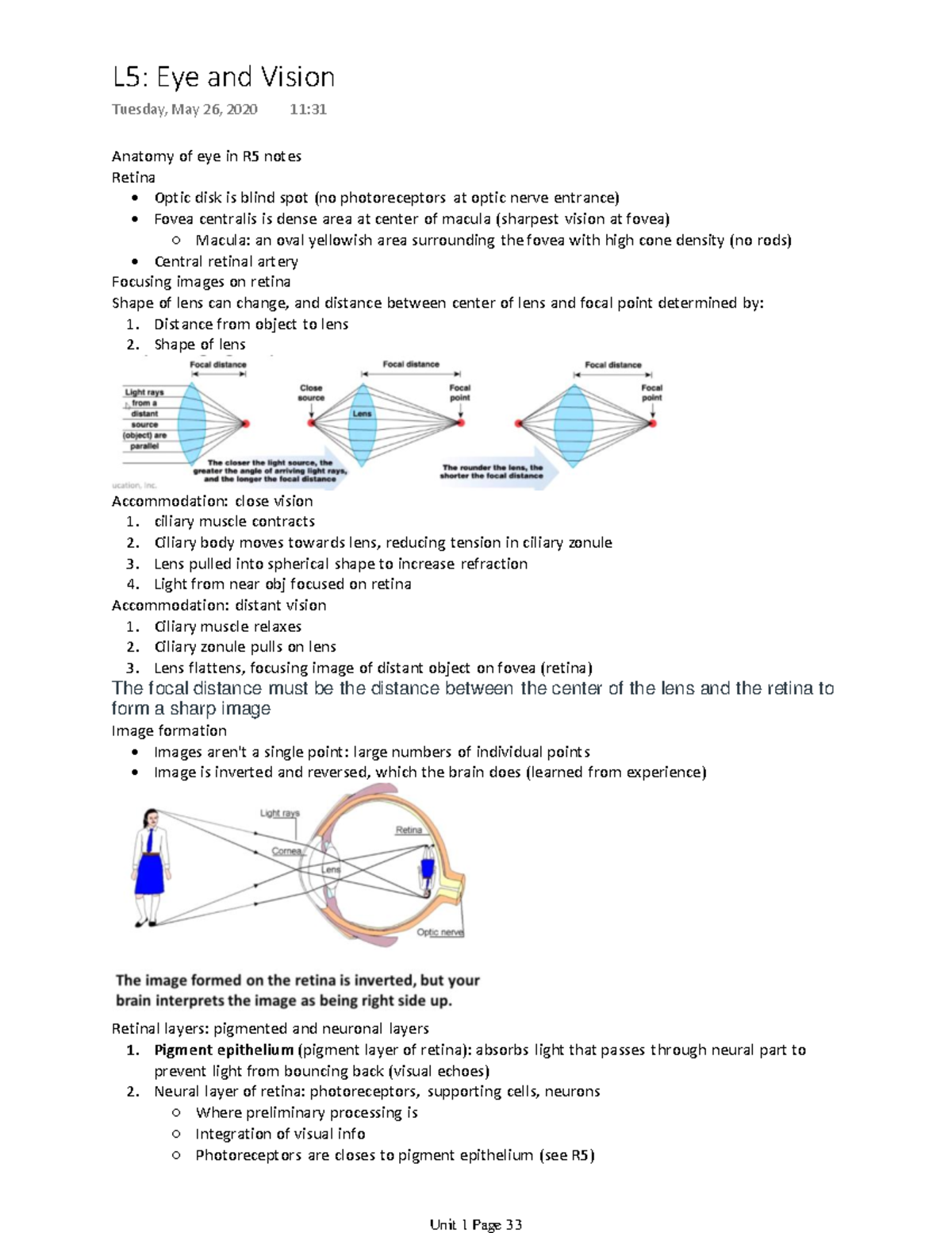 Unit 1 Lecture 5 Vision - Lefeldt Su2020 - Anatomy of eye in R5 notes ...
