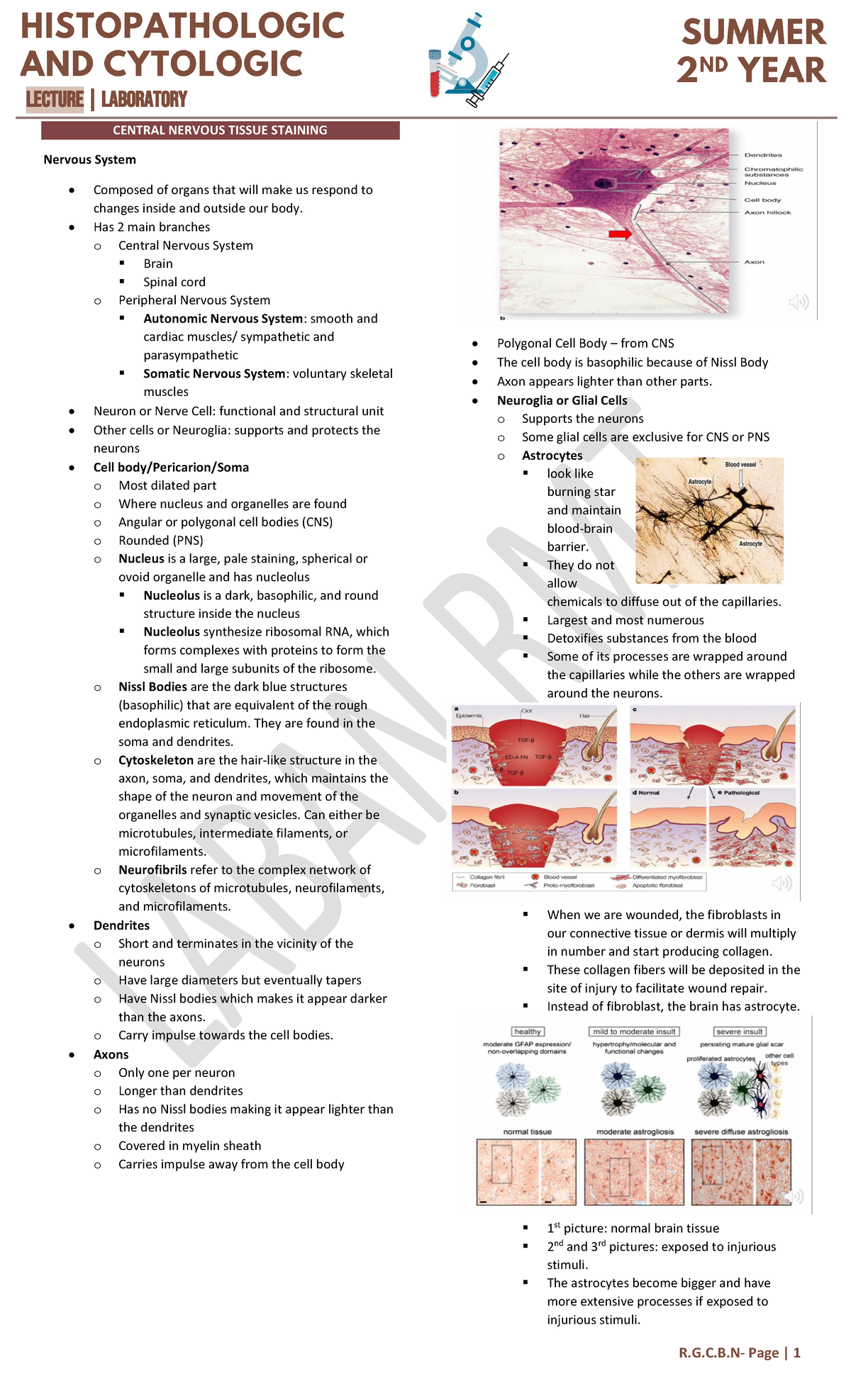 Central Nervous Tissue Staining - R.G.C.B- Page | 1 LECTURE ...