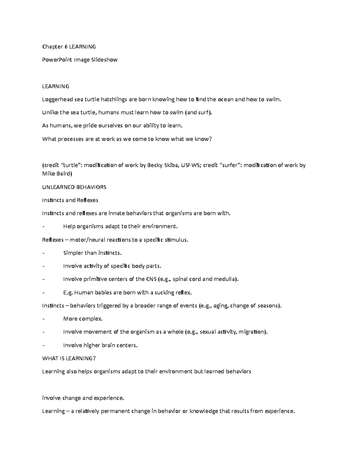 Chapter 6 Learnin 1 I - Chapter 6 LEARNING PowerPoint Image Slideshow ...