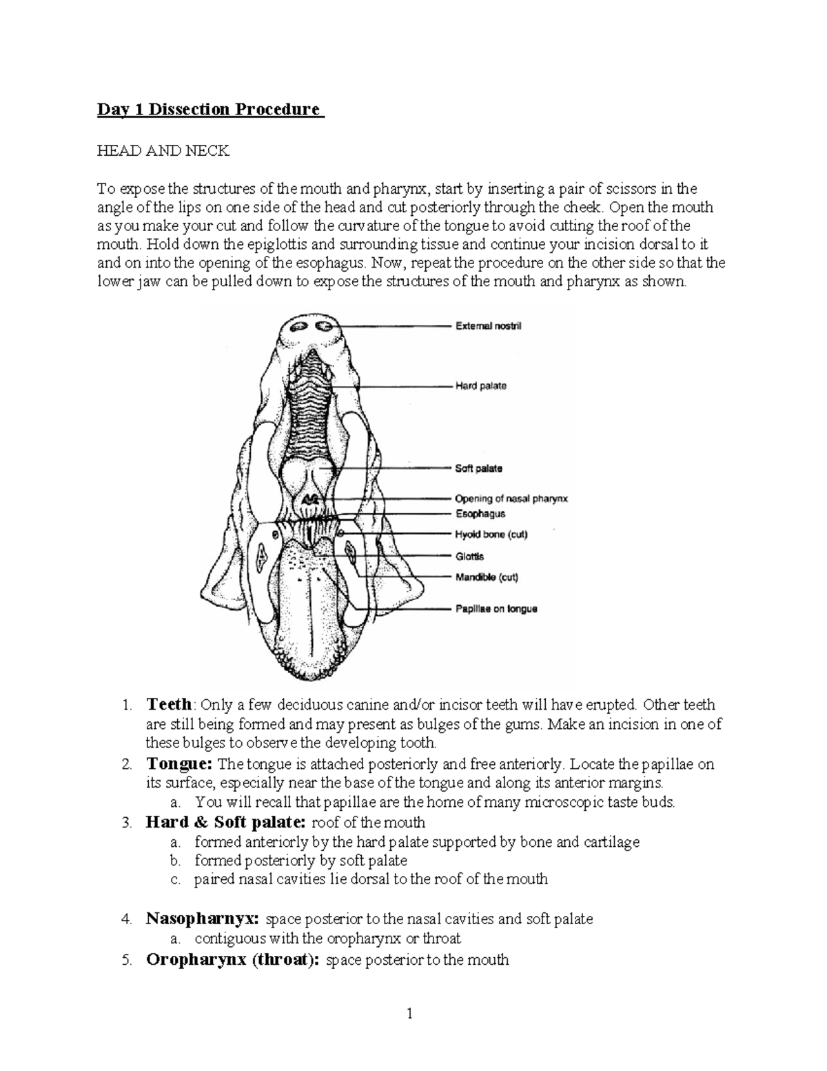 Day 2 FP Dissection Procedure - 1 Day 1 Dissection Procedure HEAD AND ...