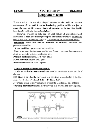 Facial development - Embryology - 1 Lec Embryology Dr Facial, nasal and ...
