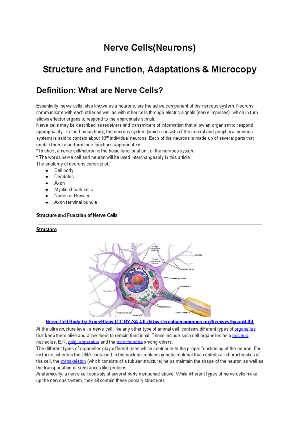 Hoorcollege 1 uitgewerkt - Nerve Cells(Neurons) Structure and Function ...