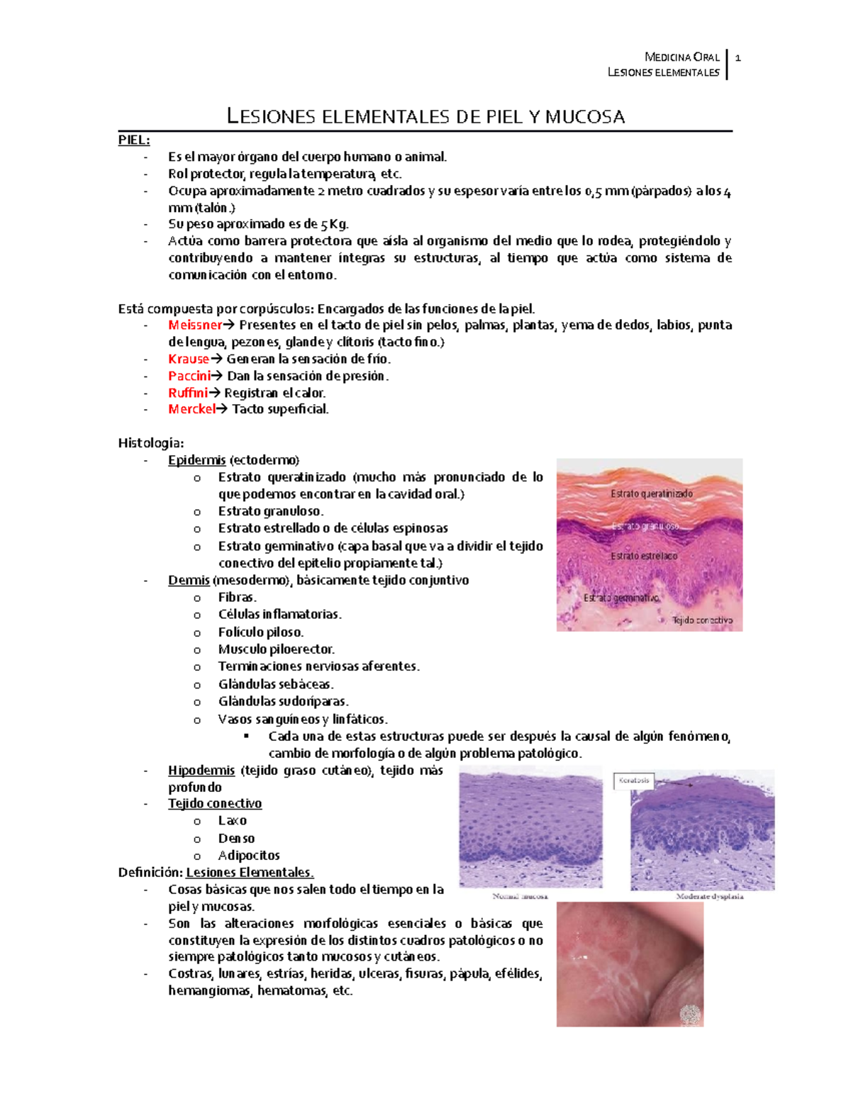 3. Lesiones Elementales de Piel y Mucosas 02 - LESIONES ELEMENTALES ...