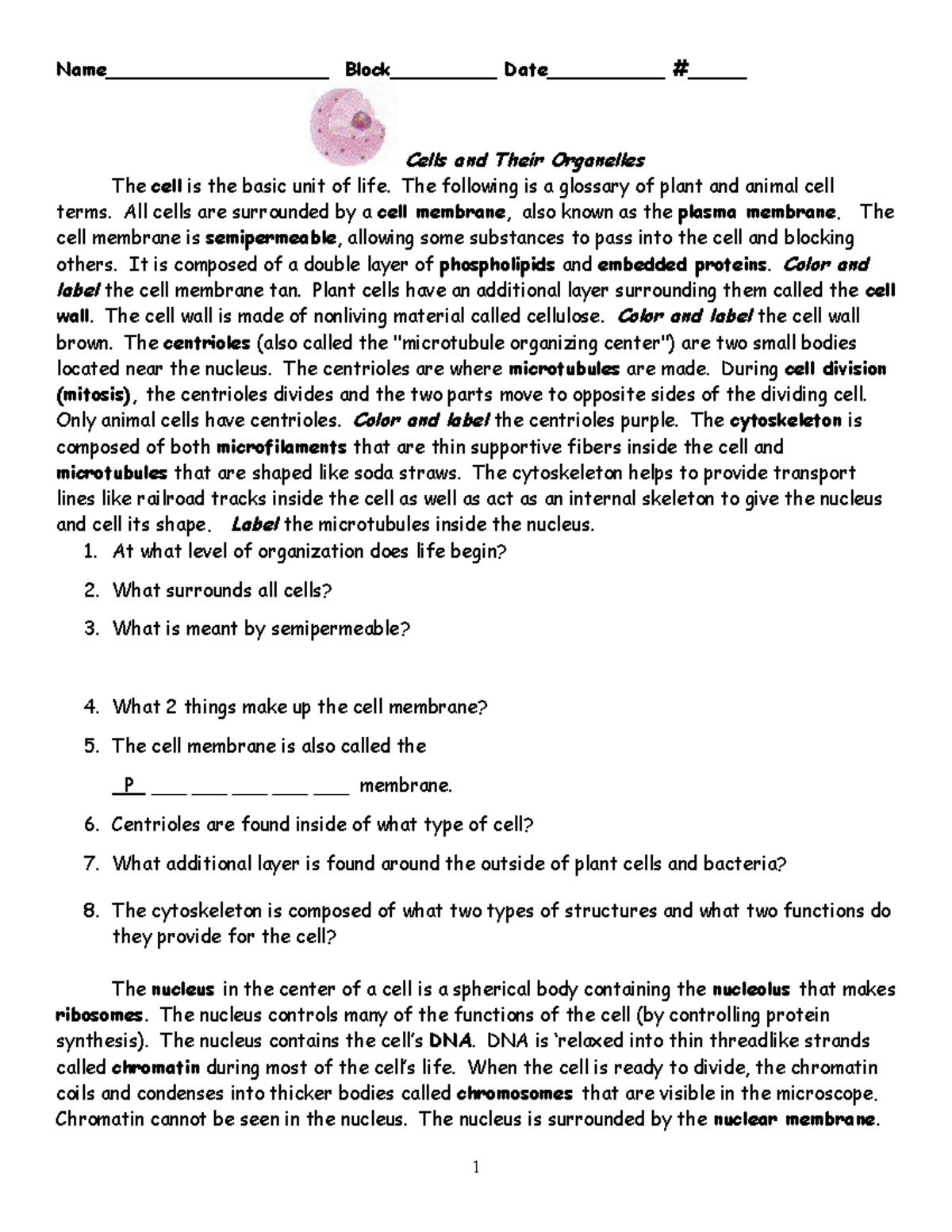 Cells and organelles Guided Reading - Name___________________ Block ...