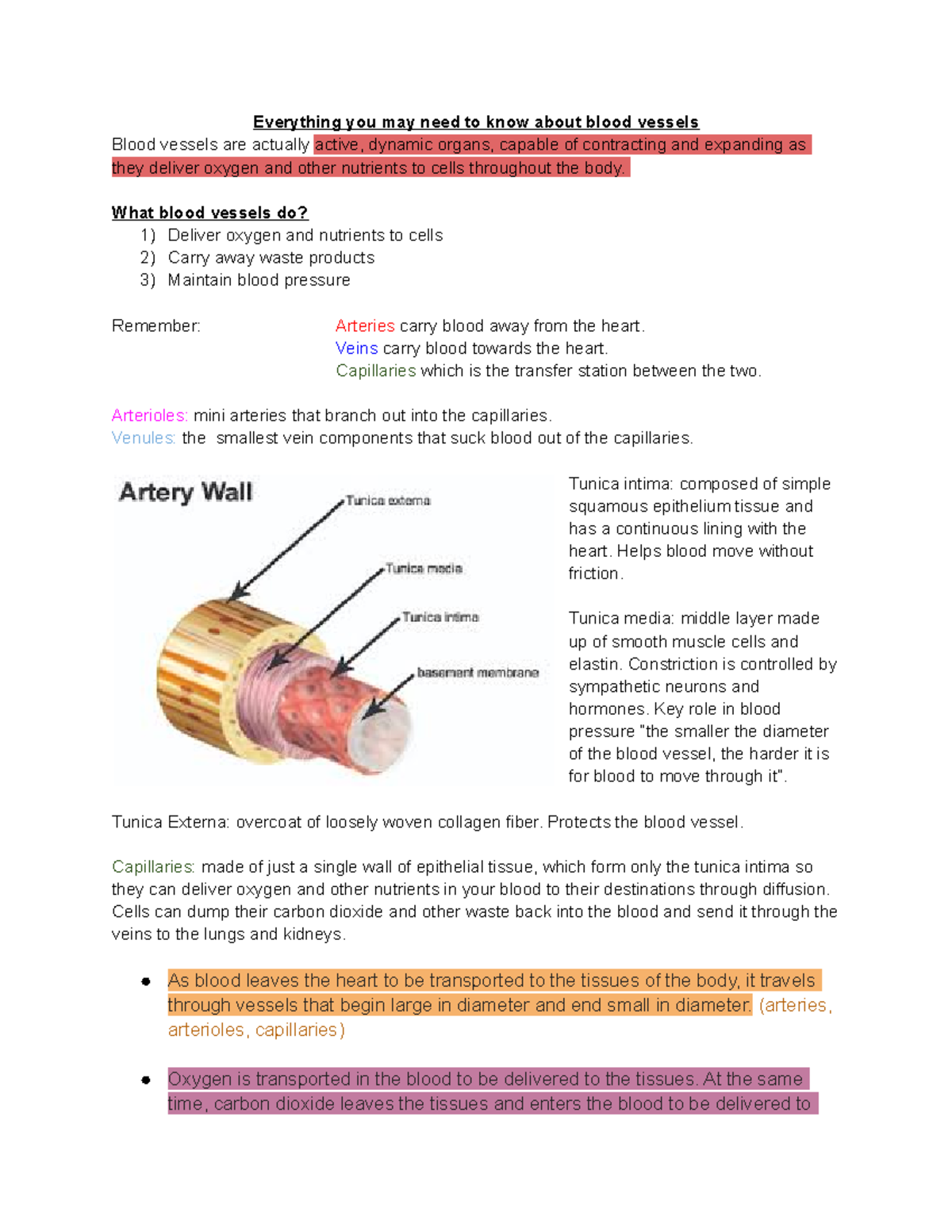 Blood vessels - Overview - Everything you may need to know about blood ...