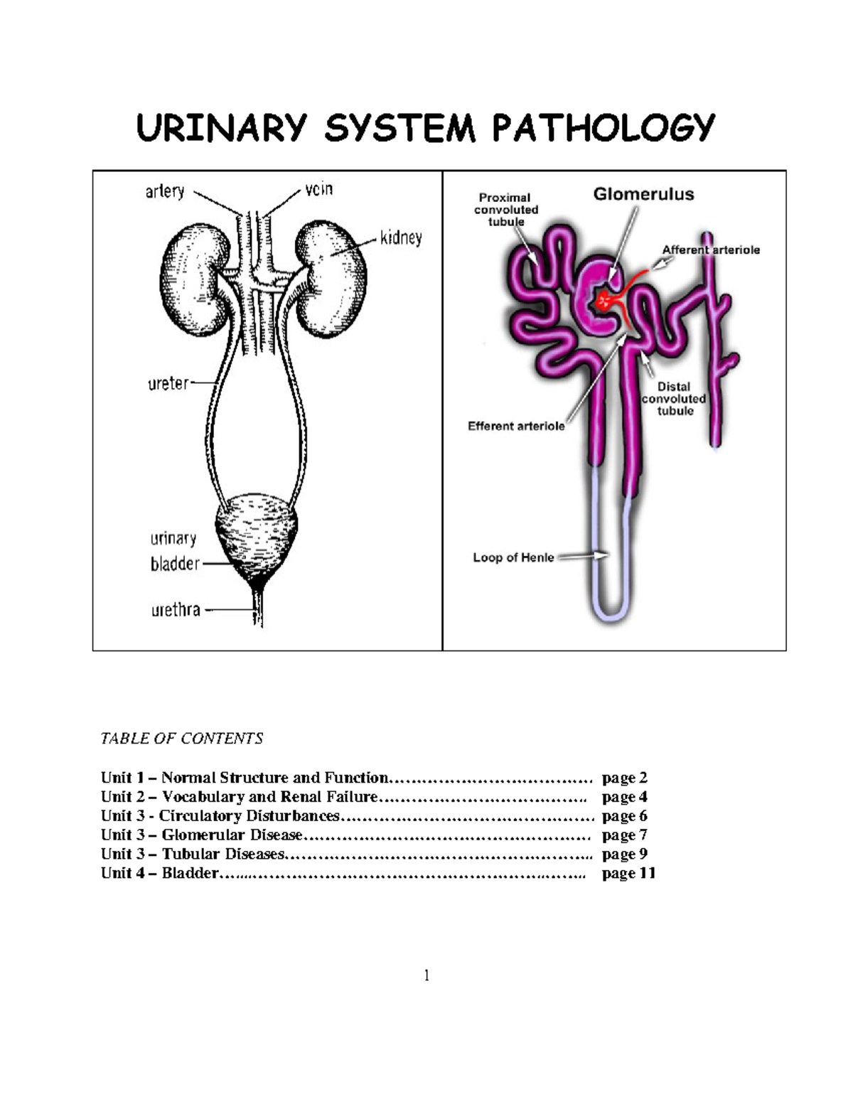 Urinary System Pathology notes - URINARY SYSTEM PATHOLOGY TABLE OF ...