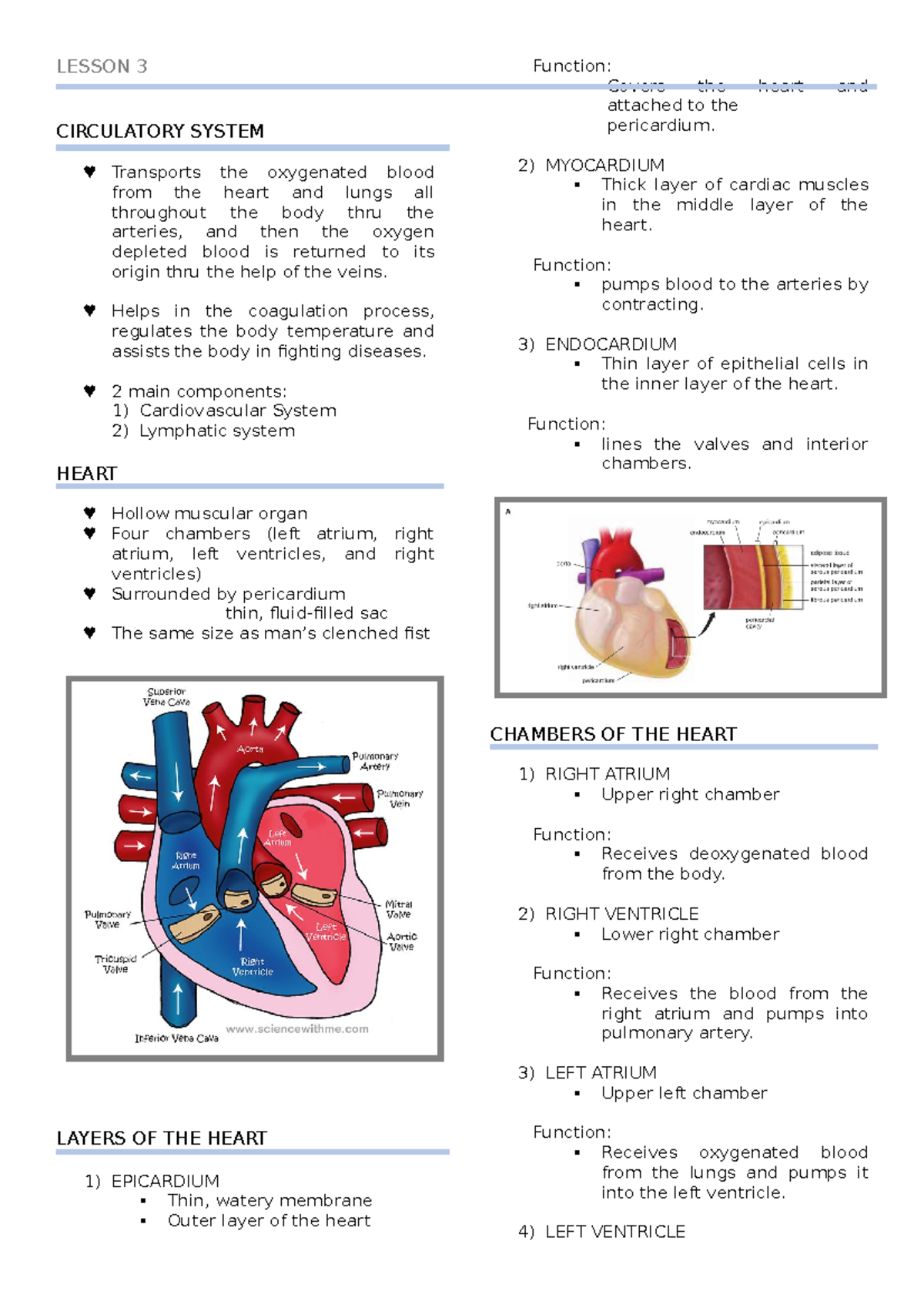Lesson 3 - Lecture notes 1-6 - LESSON 3 CIRCULATORY SYSTEM Transports ...