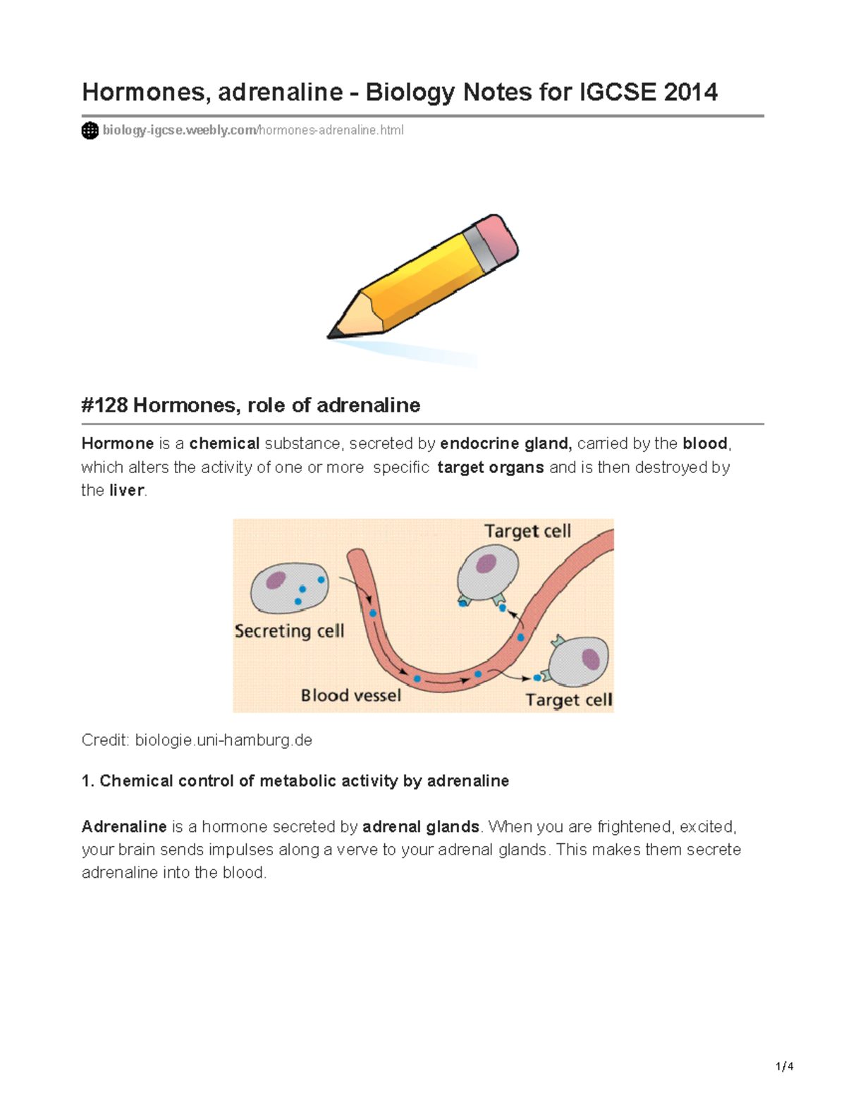 Biology-igcse.weebly.com-Hormones adrenaline - Biology Notes for Igcse ...