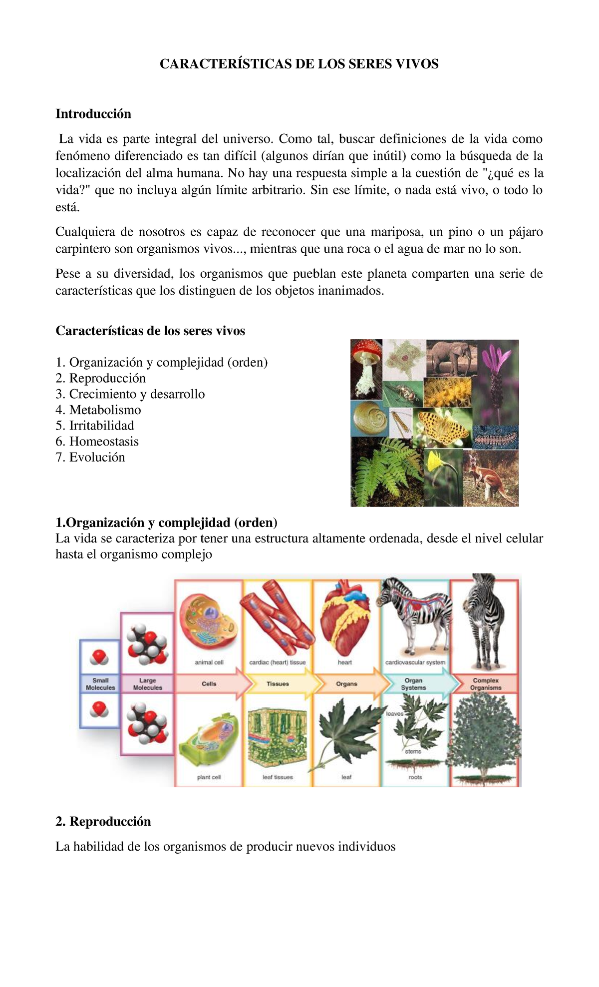 BIOLOGIA PARA INGENIEROS - CARACTERÍSTICAS DE LOS SERES VIVOS ...