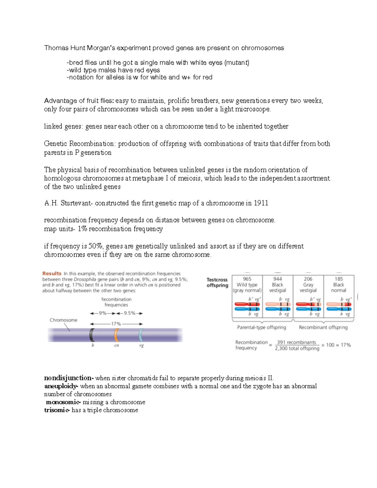 Chapter 15 - Professor John Wahlert - Thomas Hunt Morgan’s experiment ...