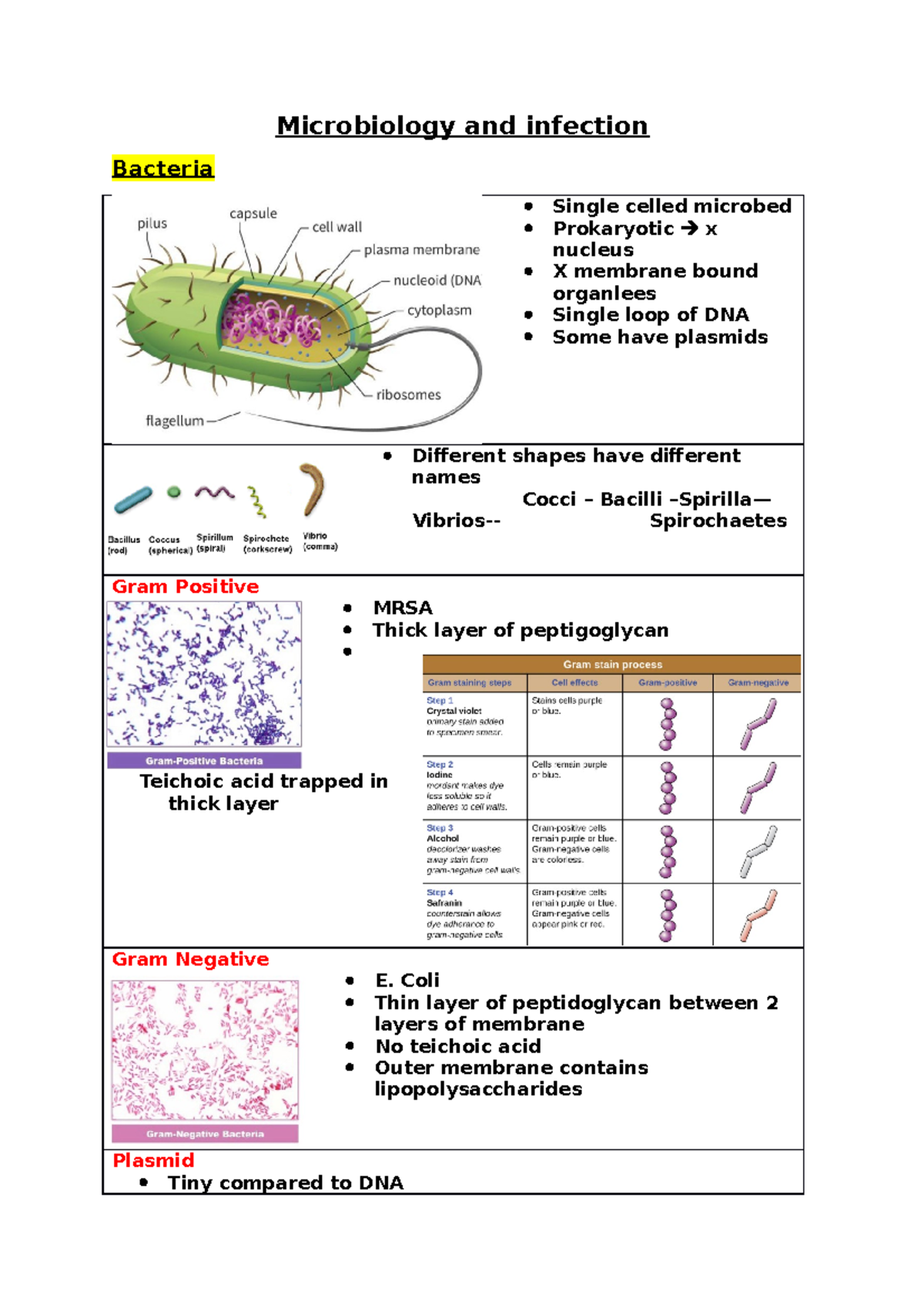 Microbiology and infection - Microbiology and infection Bacteria Single ...