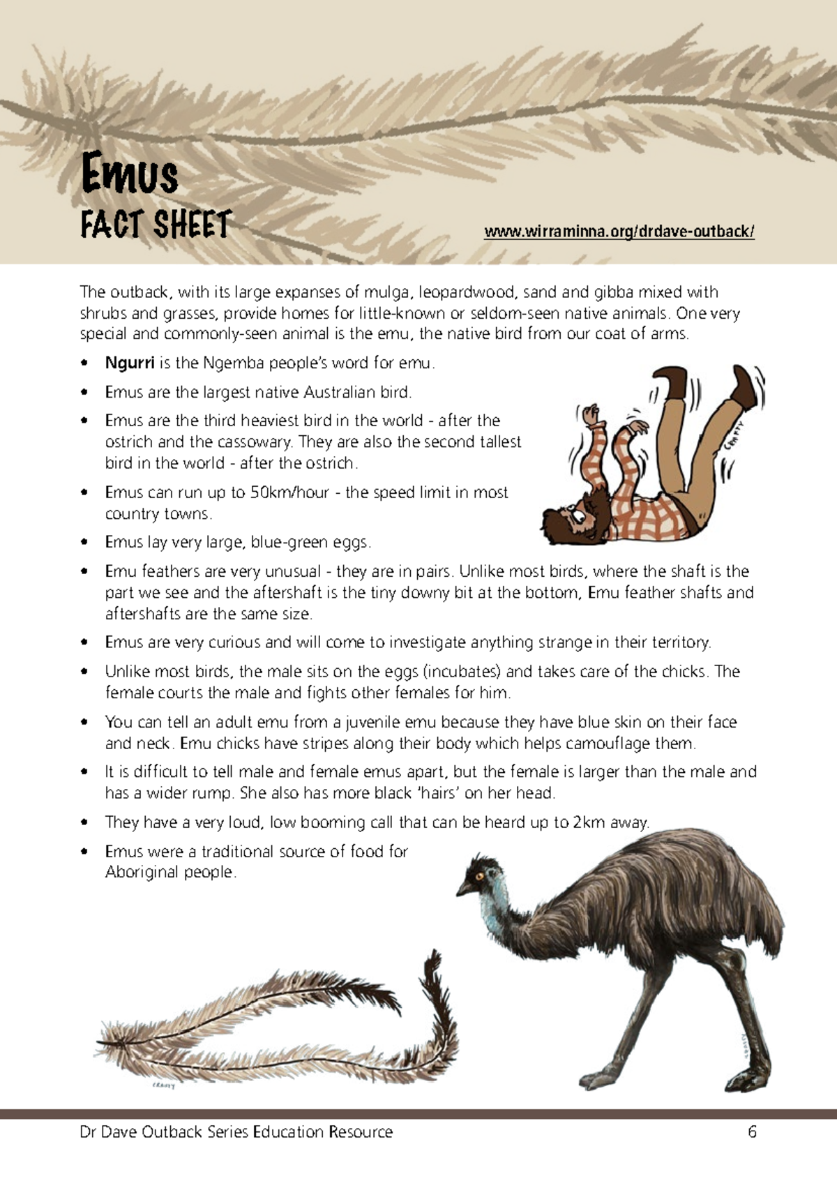 Behaviour of animals - Dr Dave Outback Series Education Resource 6 Emus ...