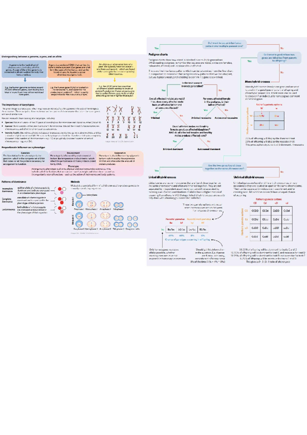 UNIT 2 AOS 1 ( Cheat Sheet) - Do want to see an inheritance pattern ...