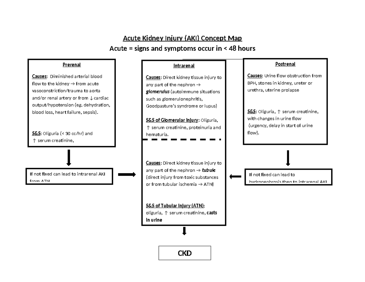 AKI Concept Map - helpful to breakdown info - Acute Kidney Injury (AKI ...