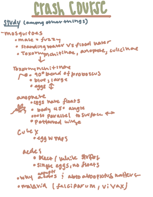 Genetics chapter 12-13 summary review - Chapter 12 essential Ideas ...
