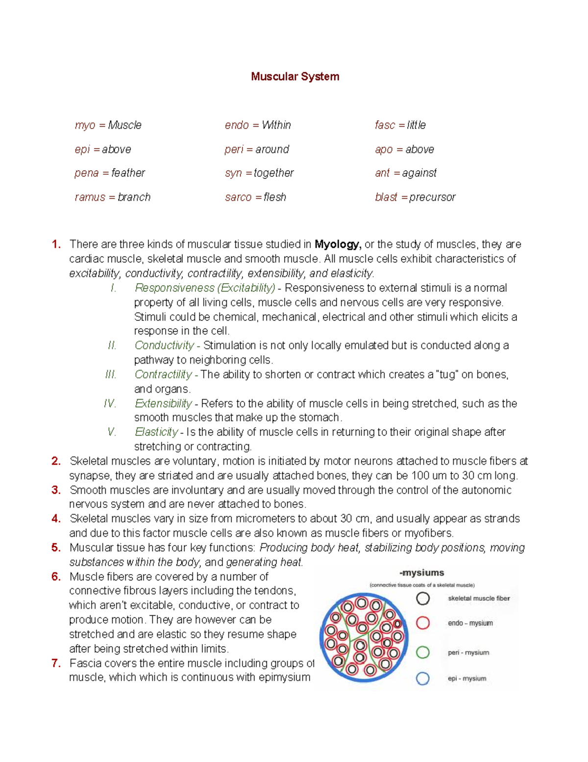 202125997 Chapter 11 Anatomy and Physiology - Muscular System myo ...
